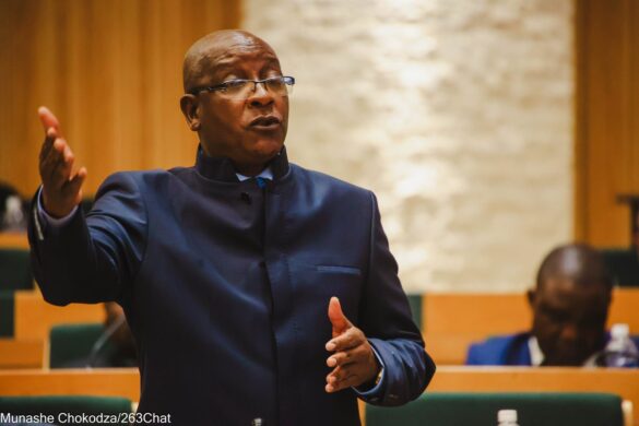Key Takeaways From Ziyambi's Reply On Constitutional Changes - The ...